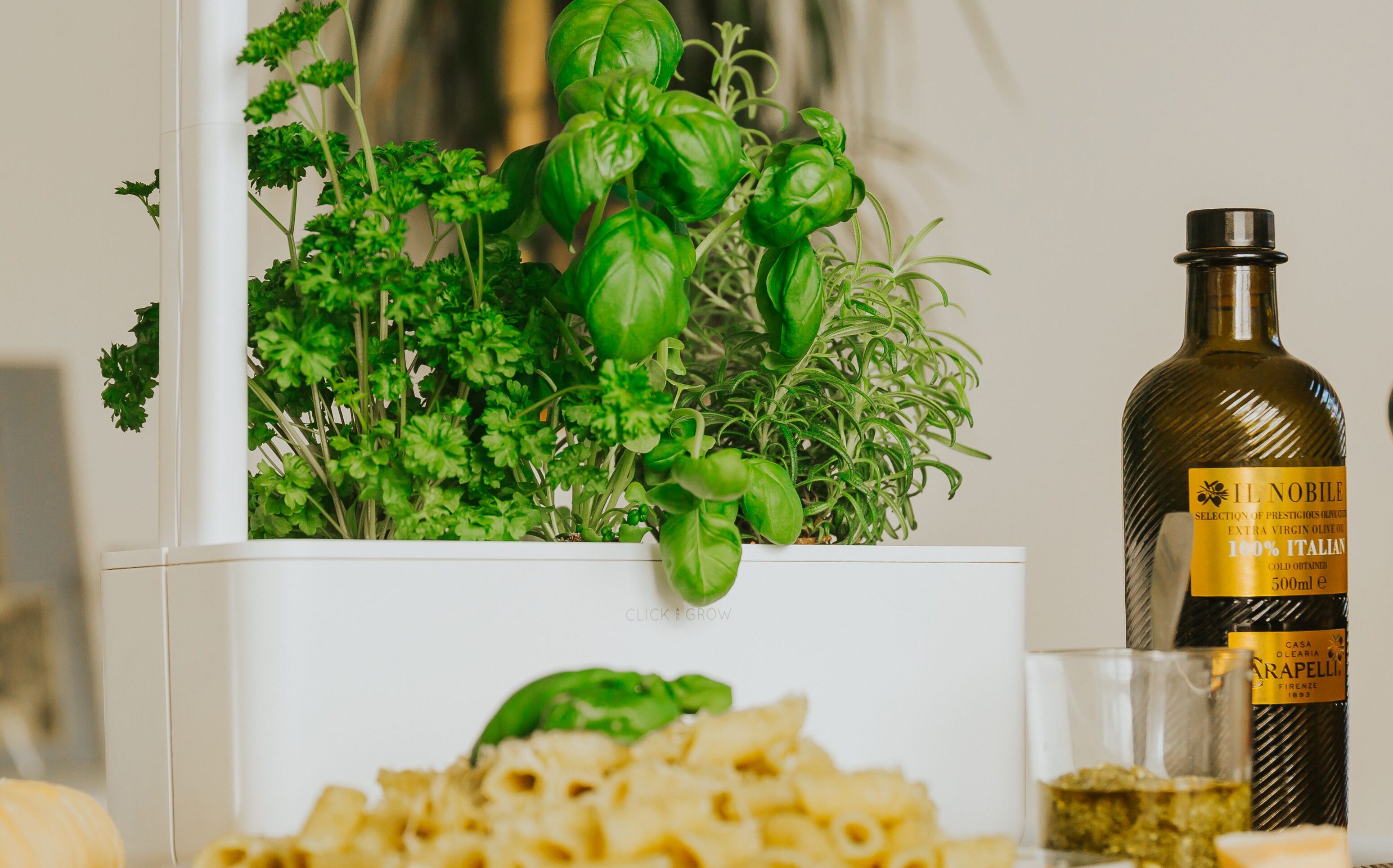 Grow Smart Greens - farm to table experience at - Abraxas Lifestyle